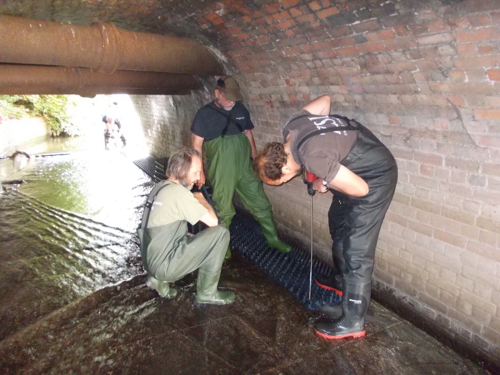 Eels get a helping hand in the Hogsmill River | Thames Anglers' Conservancy